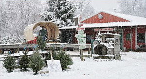 Broadview Christmas Tree Far – Great Lakes Review