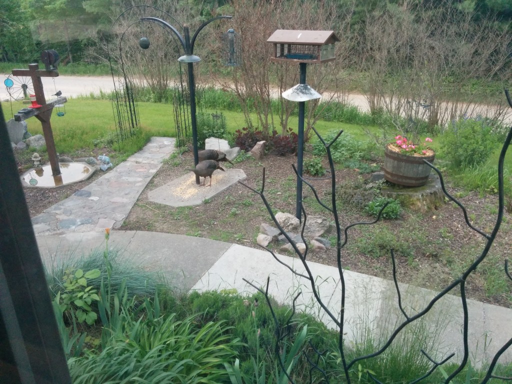 LeRoy, Michigan: Coming Home to the Hill – Great Lakes Review