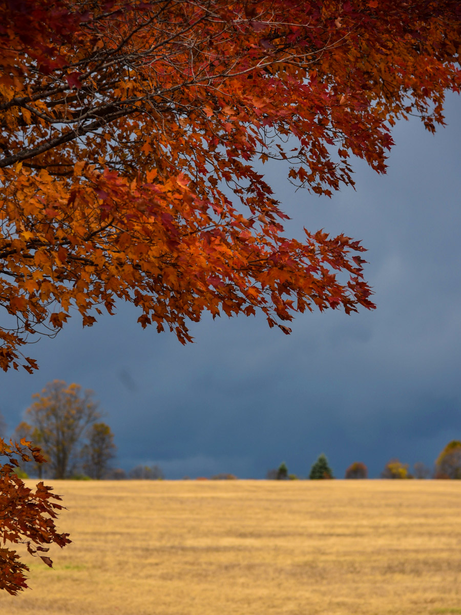 Twilight, Sundown, Autumn Sky – Great Lakes Review